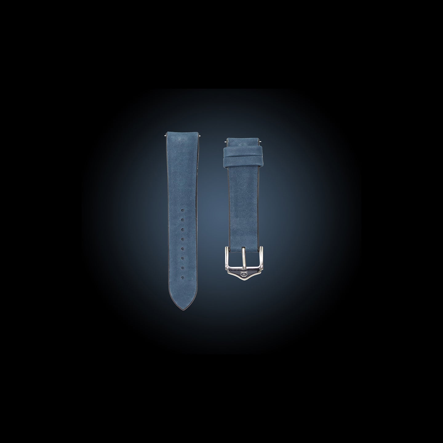 Blue Leather/Rubber Strap – Swiss Watch Company